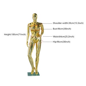 Luxury Window Gold Silver Curvy Female Plus Size Mannequin Full Body ...