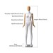 High End Female Dress Form Mannequin Full Body,clothing Store Clothing ...