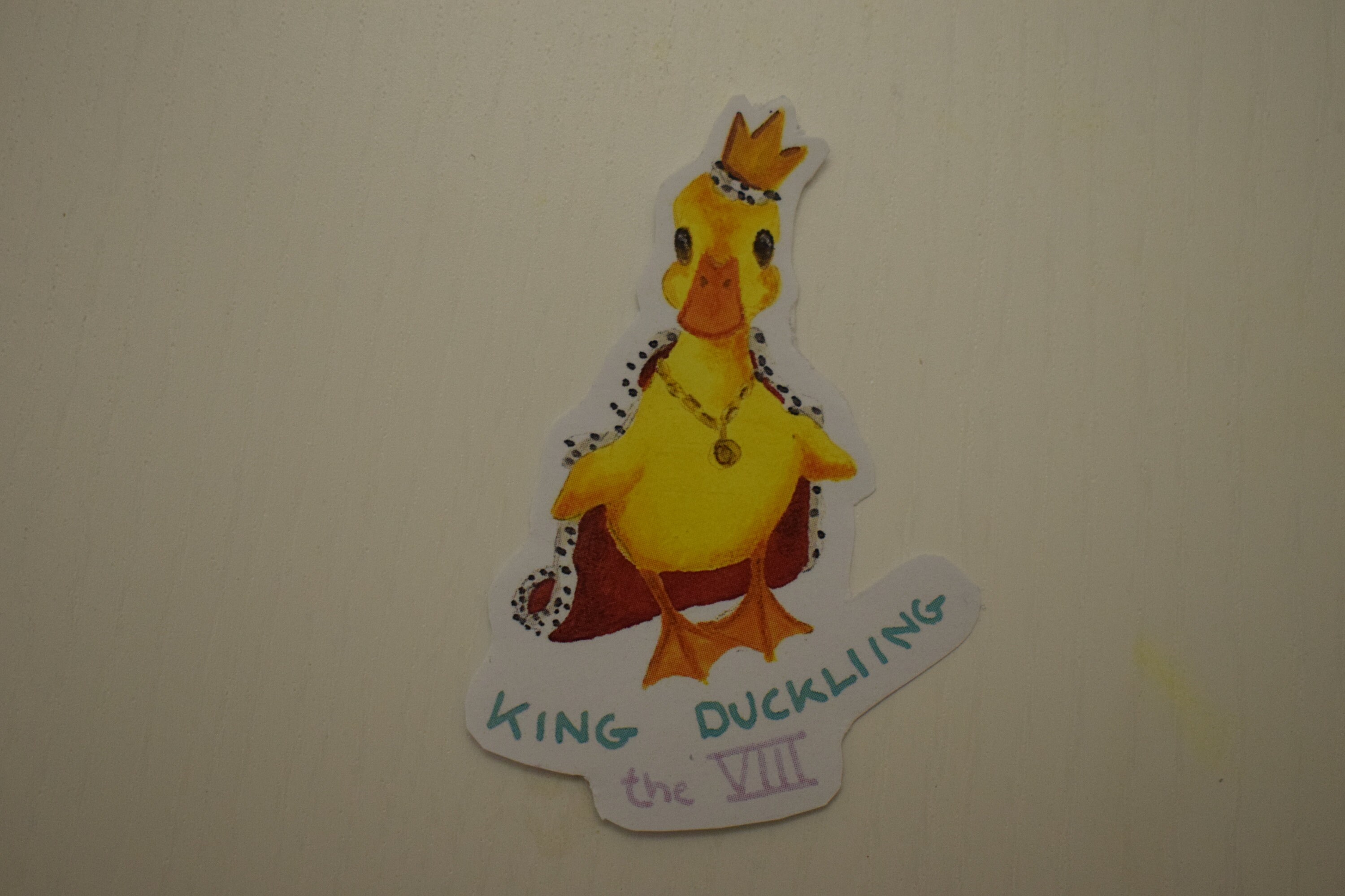 Sticker de patitos pack de 3 - Etsy México