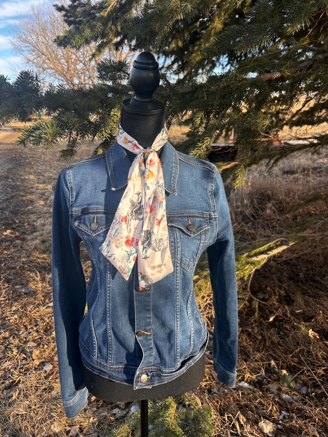 Western Skinny Scarf Cowgirl Style Ranch Wife Fashion Accessory Neck ...