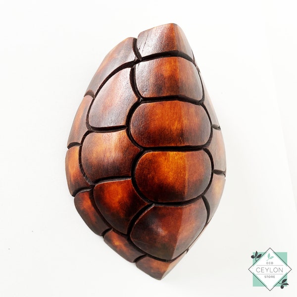 Turtle Shell - Etsy
