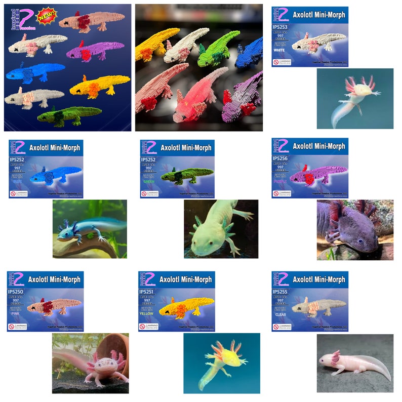 AXOLOTL Mini-morph Micro-block Model - Etsy