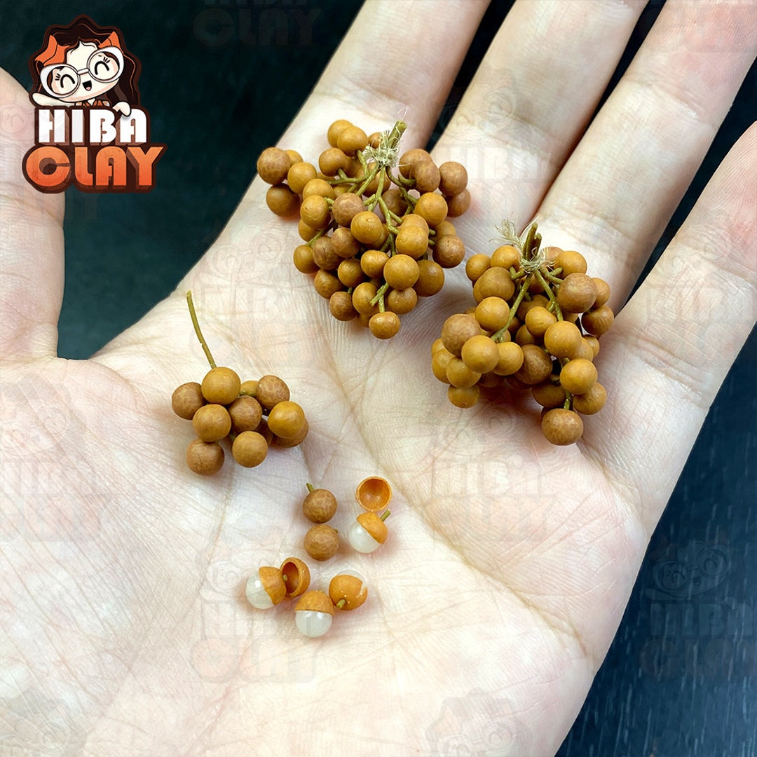 Dollhouse Miniature Longan: Polymer Clay Food, DIY Doll Accessory - Etsy