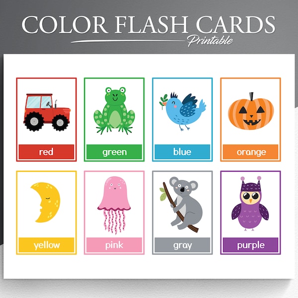 Color Flash Cards - Etsy