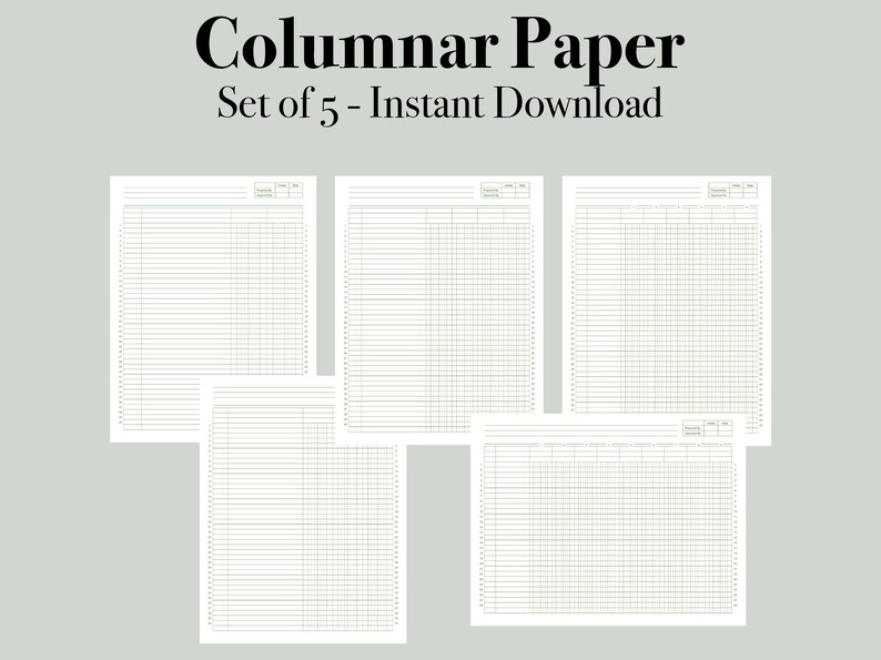 Printable Columnar Accounting Form - Printable Forms Free Online