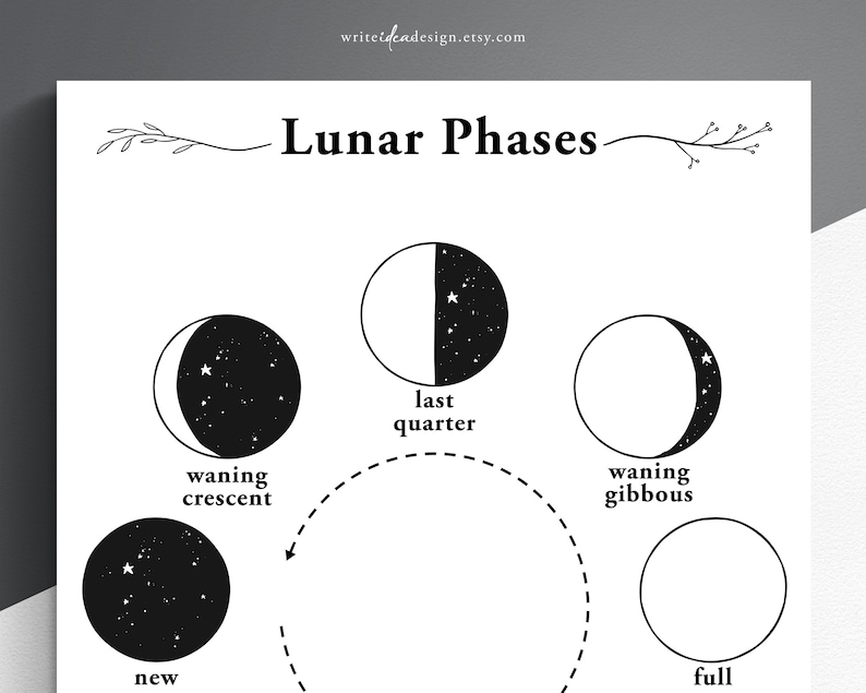 Printable Lunar Phase Chart 8 Phases of the Moon US Letter - Etsy Australia