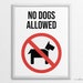 Printable No Dogs Allowed Signs in US Letter and A4 Sizes, Instant ...