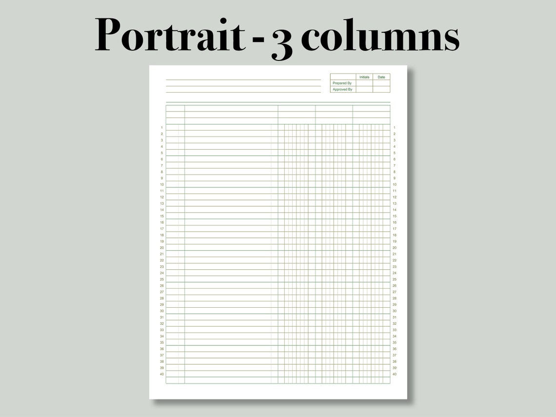 Printable Columnar Paper. Accounting Ledger. Digital Ledger | Etsy
