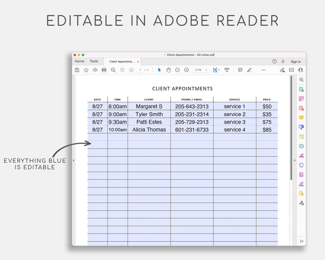 Client Appointment Tracker. Printable Appointment Log. - Etsy