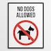 Printable No Dogs Allowed Signs in US Letter and A4 Sizes, Instant ...