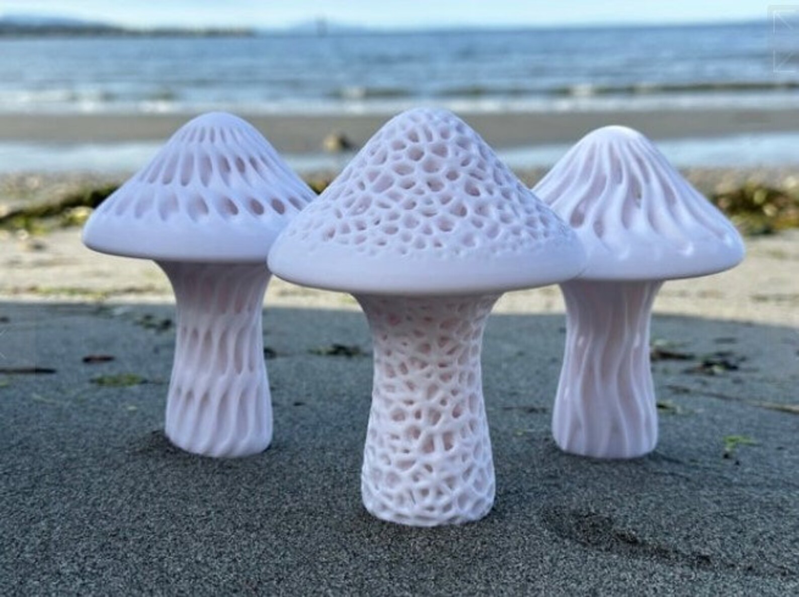 3d Print Mushroom Stl File Mushroom 3d Mushroom Print Stl Mushroom
