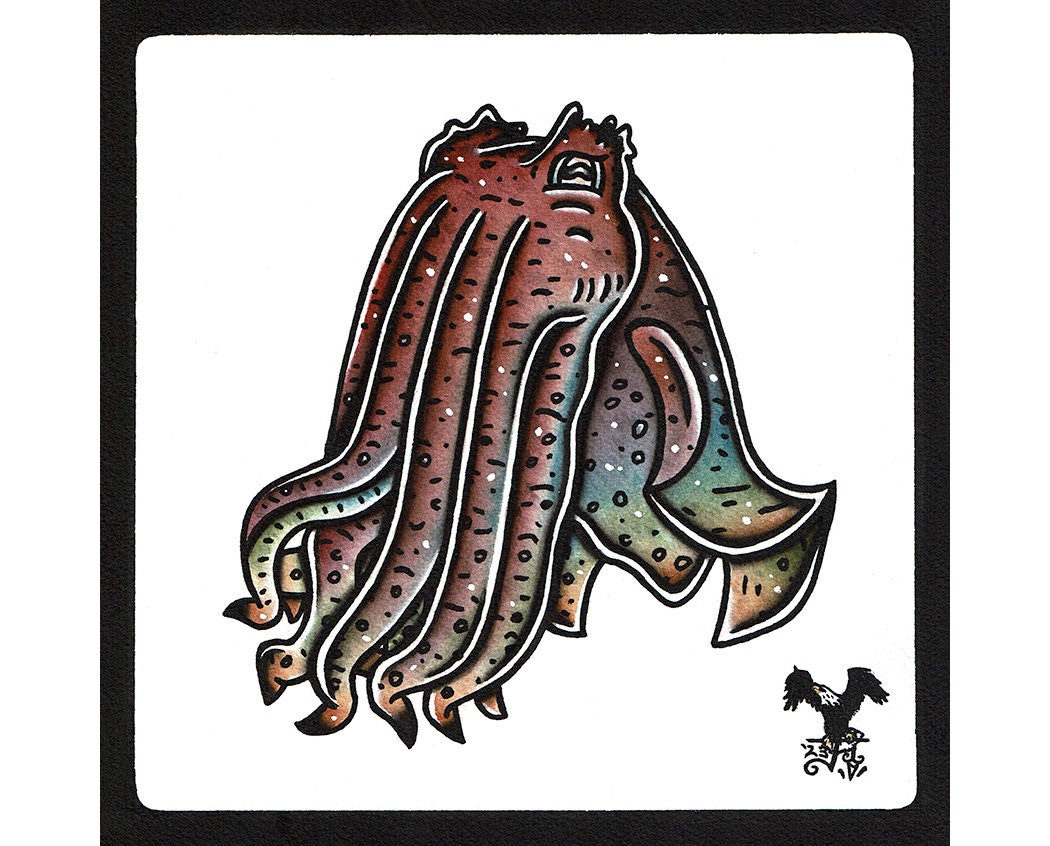 Cuttlefish Tattoo Designs