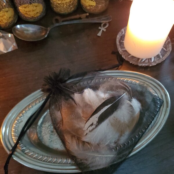 Chicken Feathers - Etsy