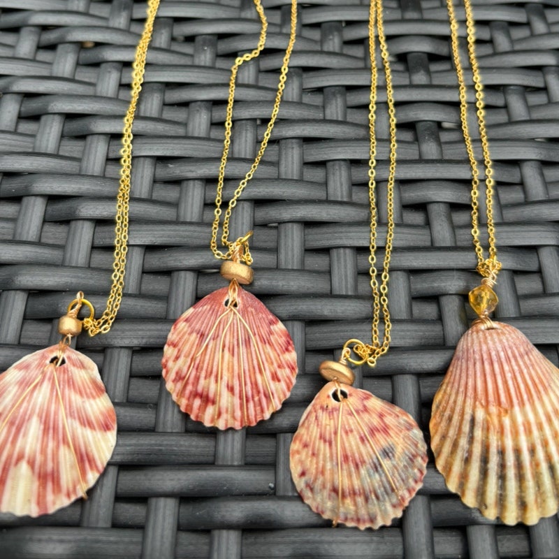 Sea Shell Wire Wrap - Etsy