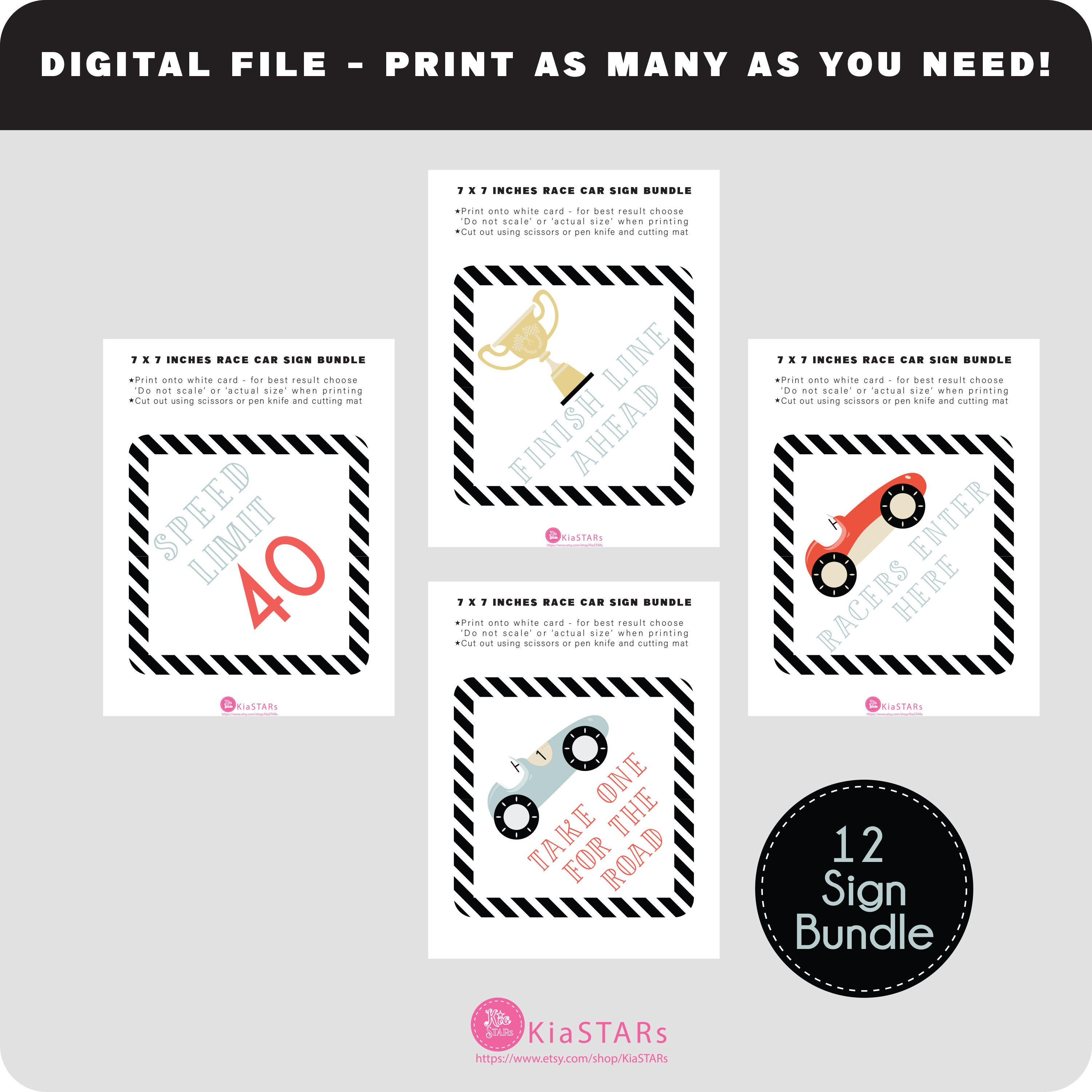 Instant Download Race Car Party Sign Package (printable Digital Files ...