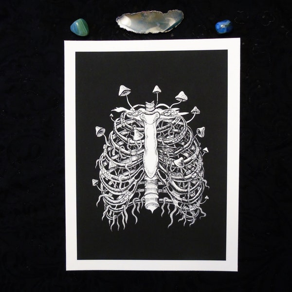 Ribcage - Etsy