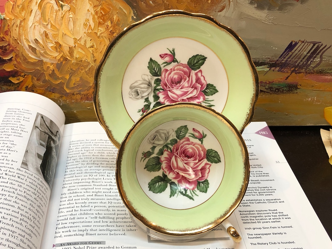 Vintage EB Foley Tea Cup & Saucer, Pink Cabbage Roses Bone China ...