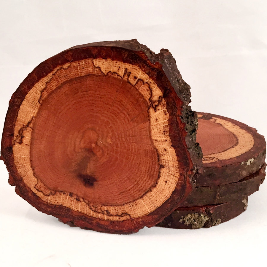 Red Wood Oak Round Slabs-Live Edge Cuts | Etsy