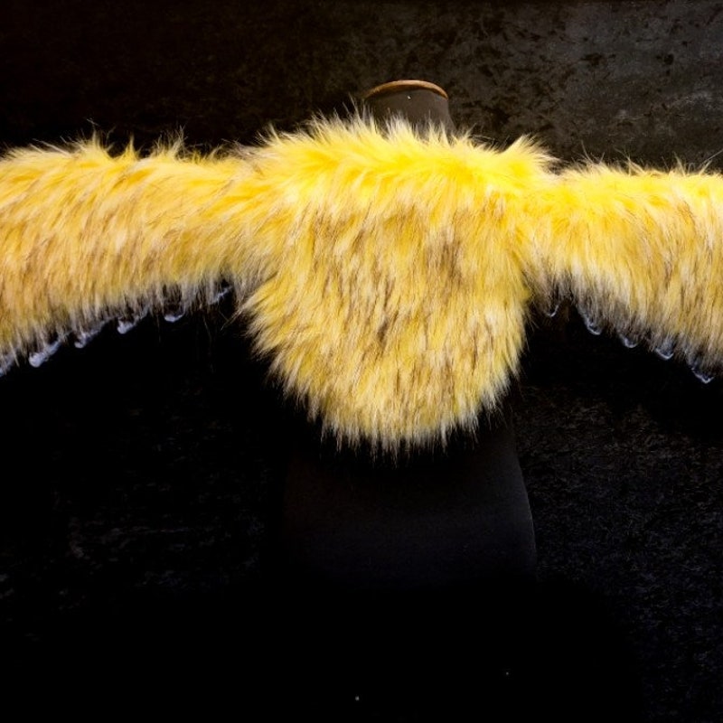 Moth Fursuit - Etsy