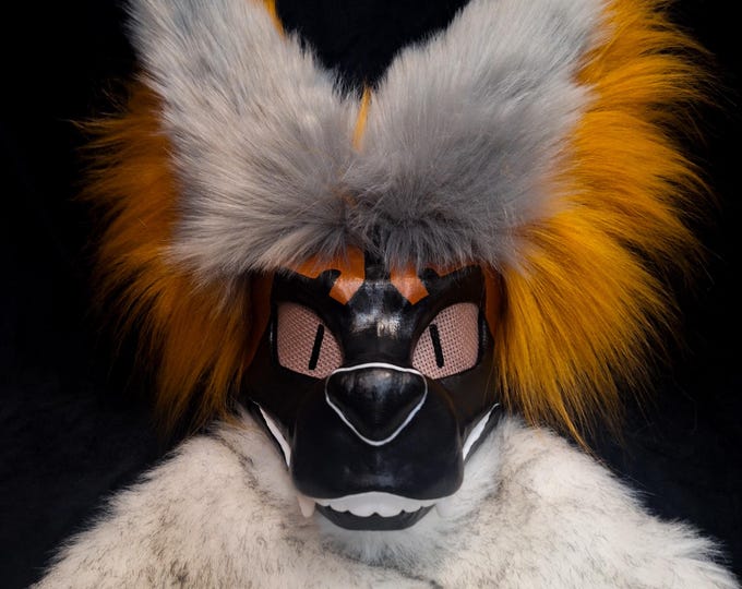 Mask Raptor, Fursuit - Etsy