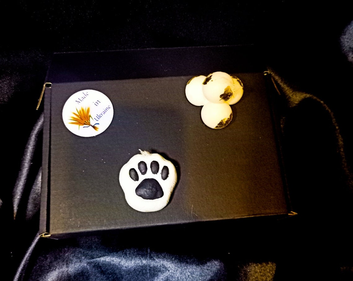 Fursuit Magic Box Mystery Box Fursuit Box Furry Box Mystic - Etsy
