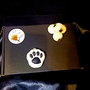 Fursuit Magic Box, Mystery Box, Fursuit Box, Furry Box, Mystic Box - Etsy