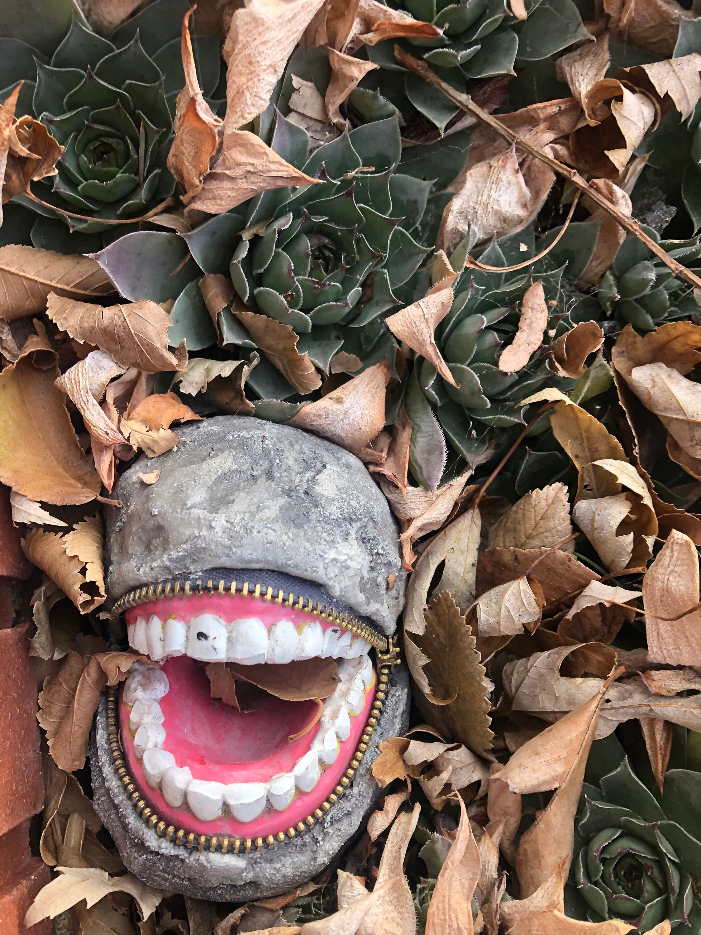 Teeth Rock Garden Ornament | Etsy