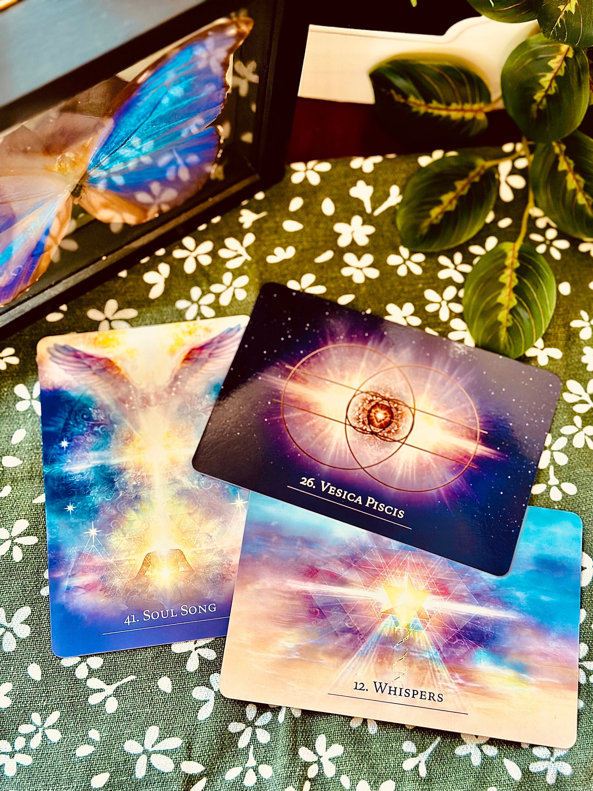 The Secret Language of Light Oracle Deck Gently Used - Etsy