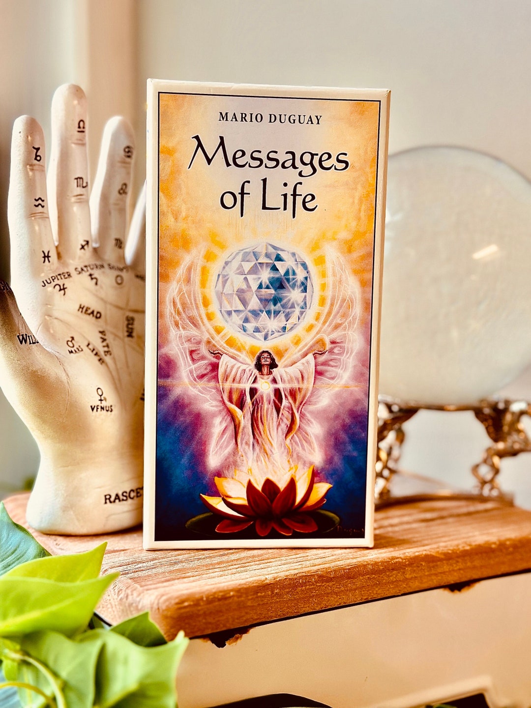 Messages of Life Oracle Deck - Gently Used - Etsy