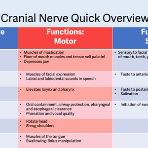 Cranial Nerve Exam Quick Reference Guide for Slps - Etsy