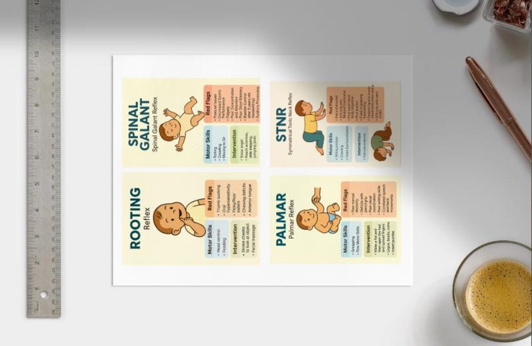 Pediatric Reflexes Flash Cards - Etsy