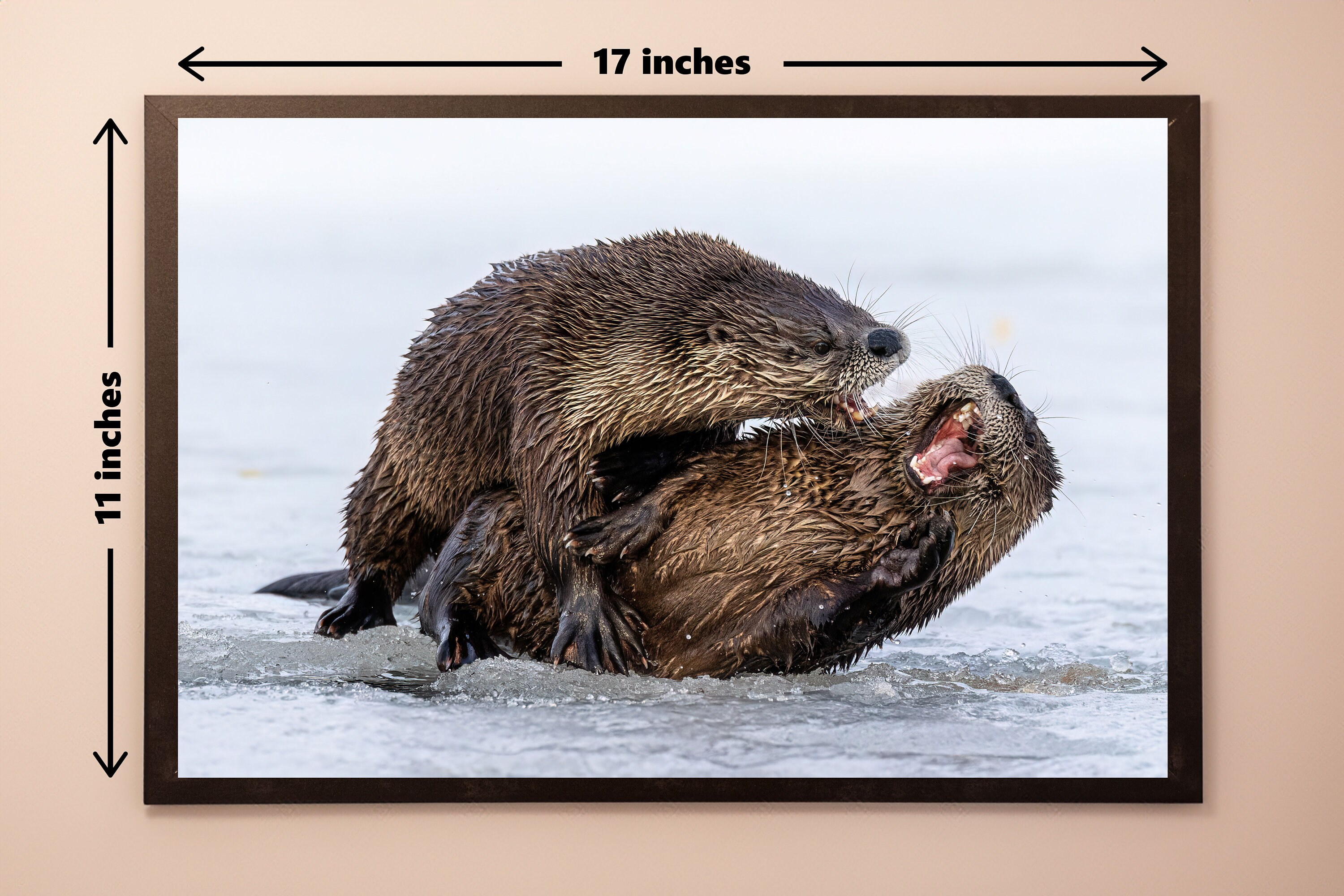 River Otters Playfighting - 11x17" Wildlife Poster Print Wall Art ...