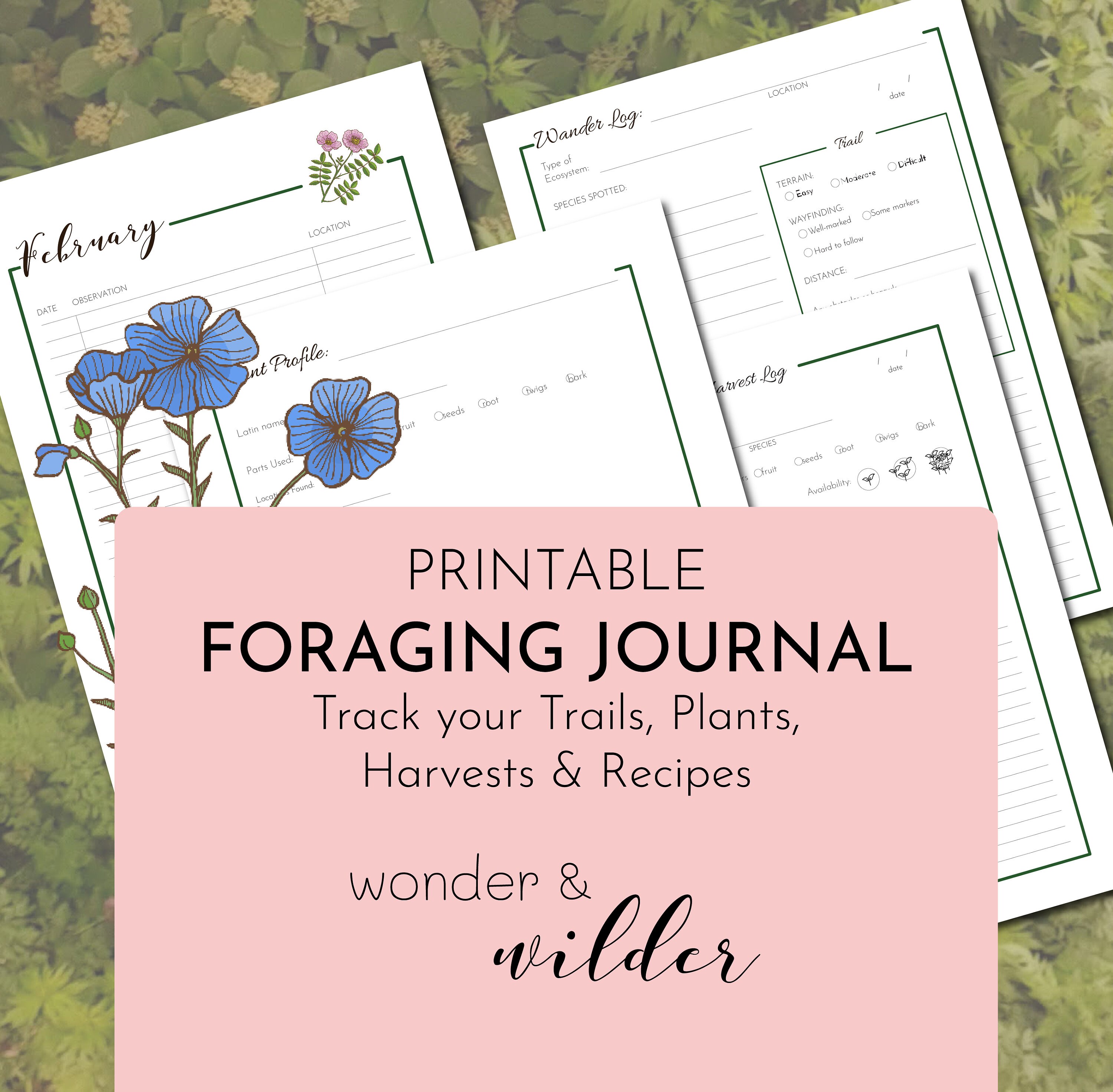 Foraging Log Journal for Wild Edible, Medicinal Plants, Mushrooms - Etsy