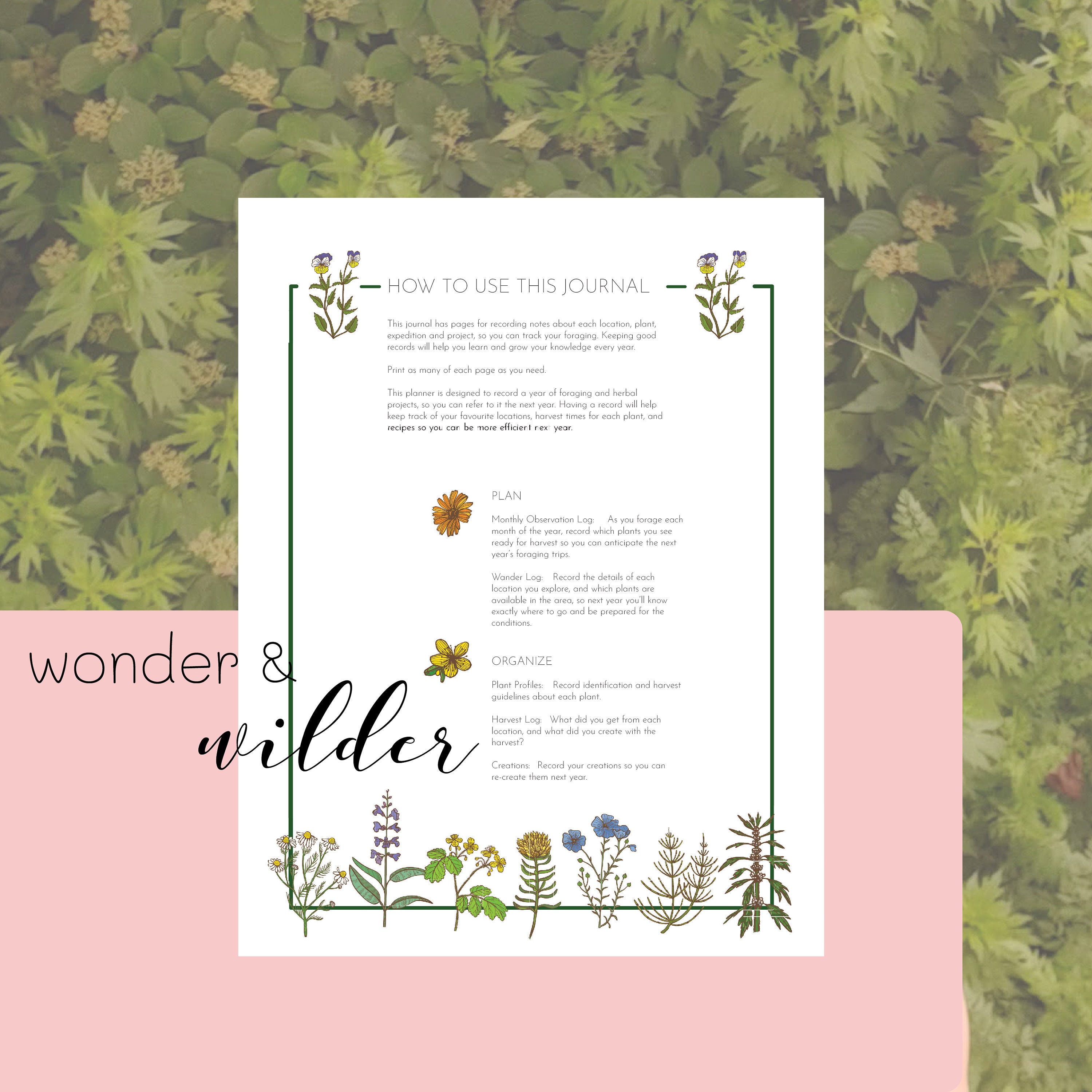 Foraging Log Journal for Wild Edible, Medicinal Plants, Mushrooms - Etsy