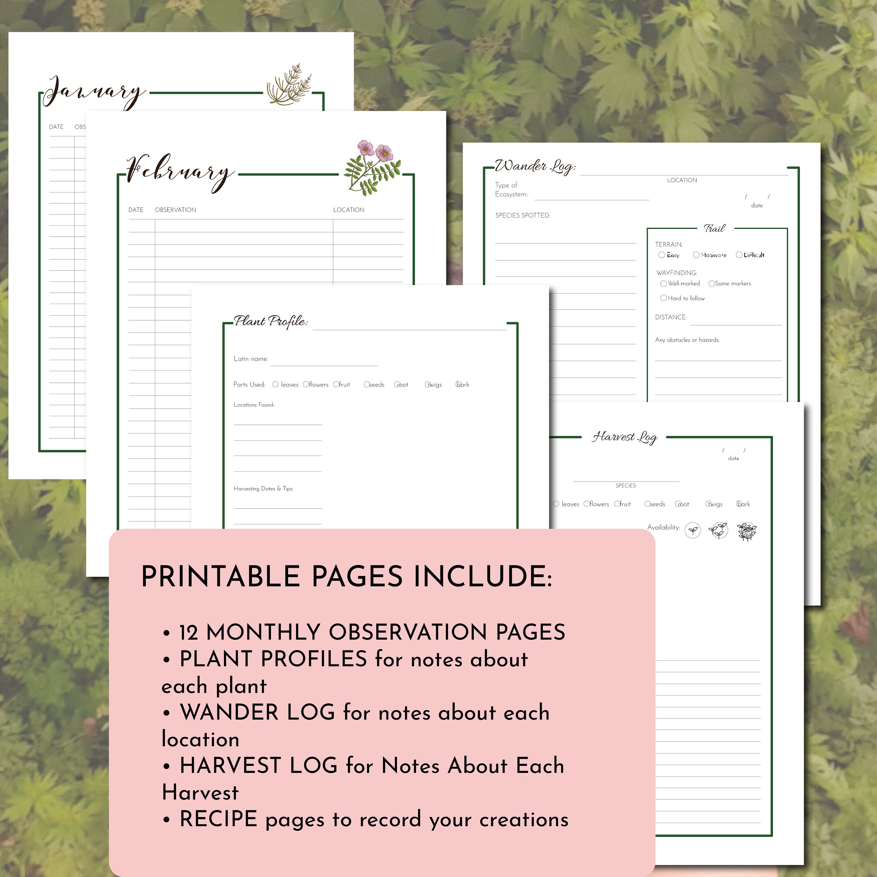 Foraging Log Journal for Wild Edible, Medicinal Plants, Mushrooms - Etsy