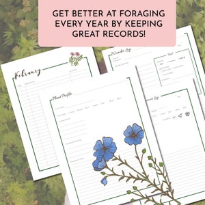 Foraging Log Journal for Wild Edible, Medicinal Plants, Mushrooms - Etsy