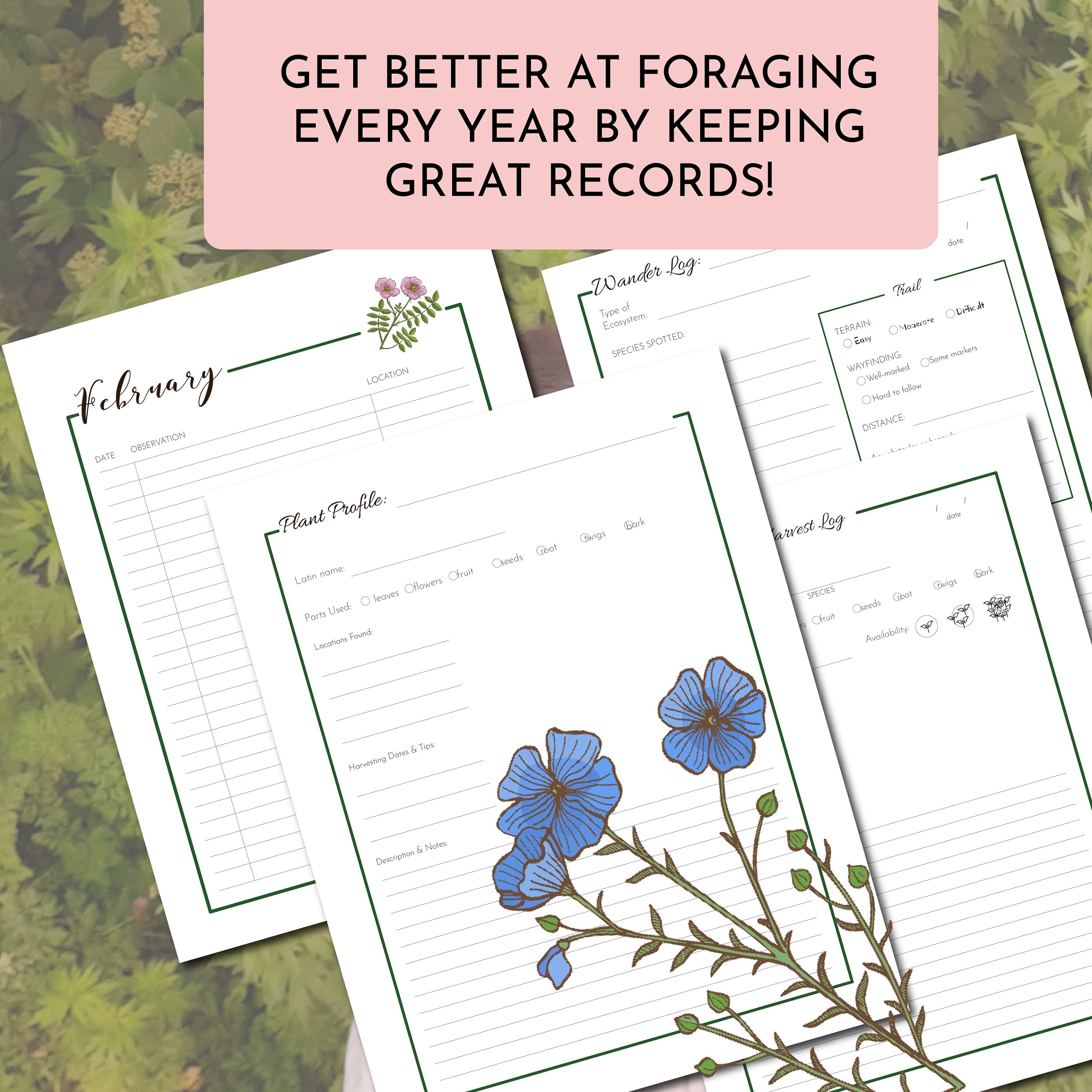 Foraging Log Journal for Wild Edible, Medicinal Plants, Mushrooms - Etsy