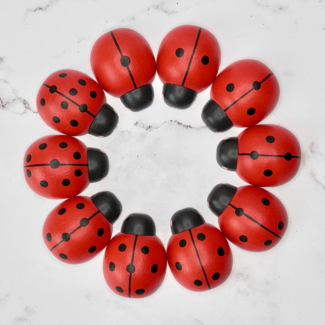 Counting Ladybugs | Wooden Nature Toys - Etsy