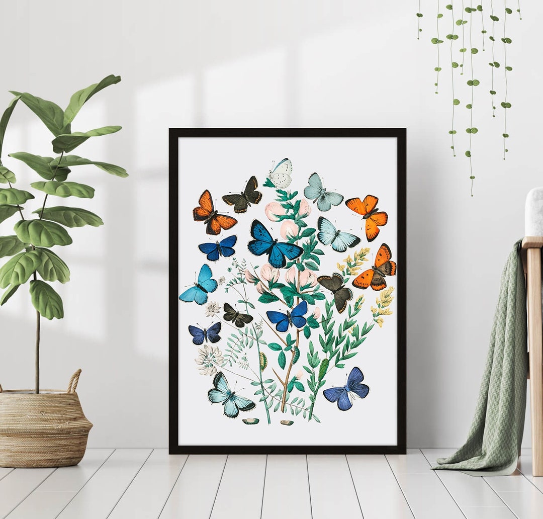 Butterfly Wall Art Illustration Boho Butterflies Farmhouse Room Decor ...