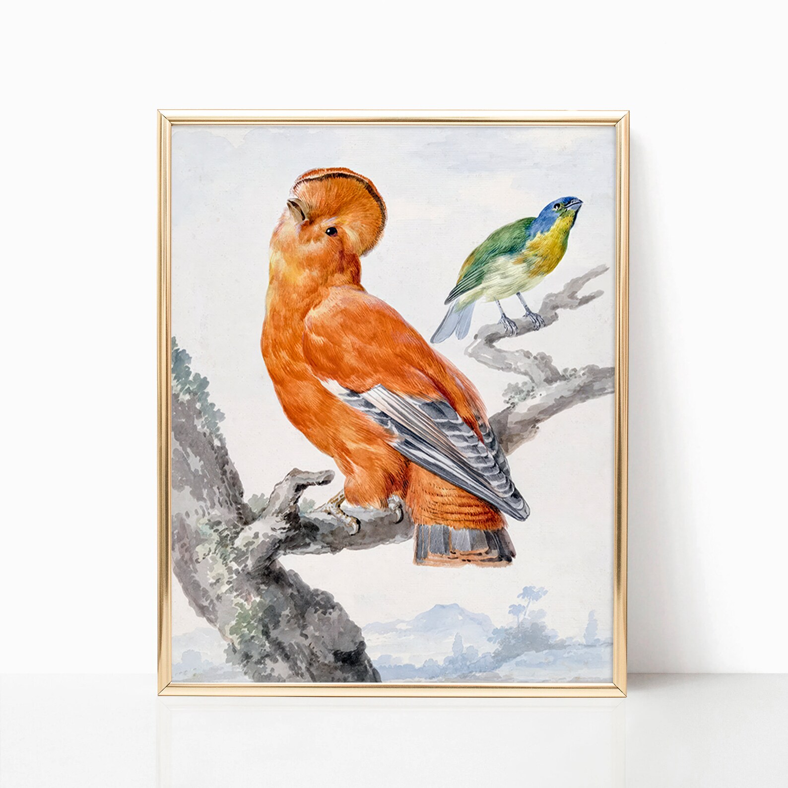 Vintage Tropical Birds Painting Wall Art Antique Illustration Retro ...