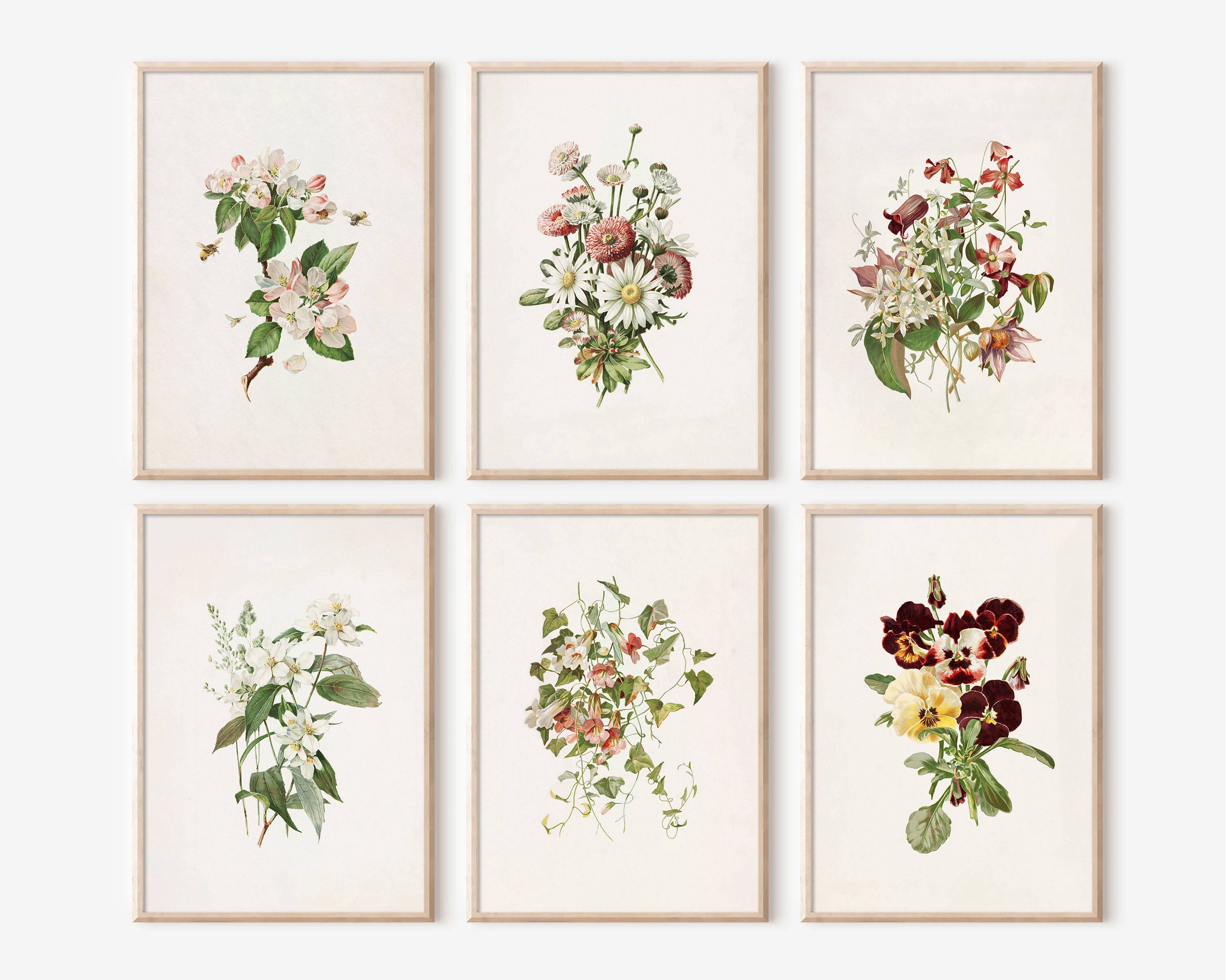 Vintage Flowers Set of 6 Print Spring Canvas Poster Framed Botanical ...