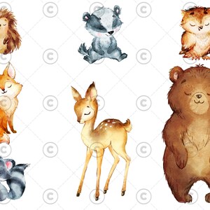 Woodland Cute Baby Animals Clipart Forest Animals Clip Art Watercolor ...