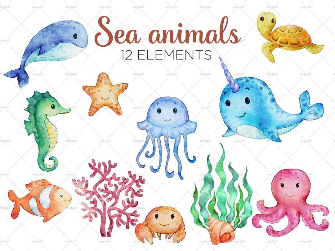 Sea Animals Clipart for Kids Watercolor PNG Clip Art Underwater Clipart ...