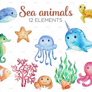 Sea Animals Clipart for Kids Watercolor PNG Clip Art Underwater Clipart ...
