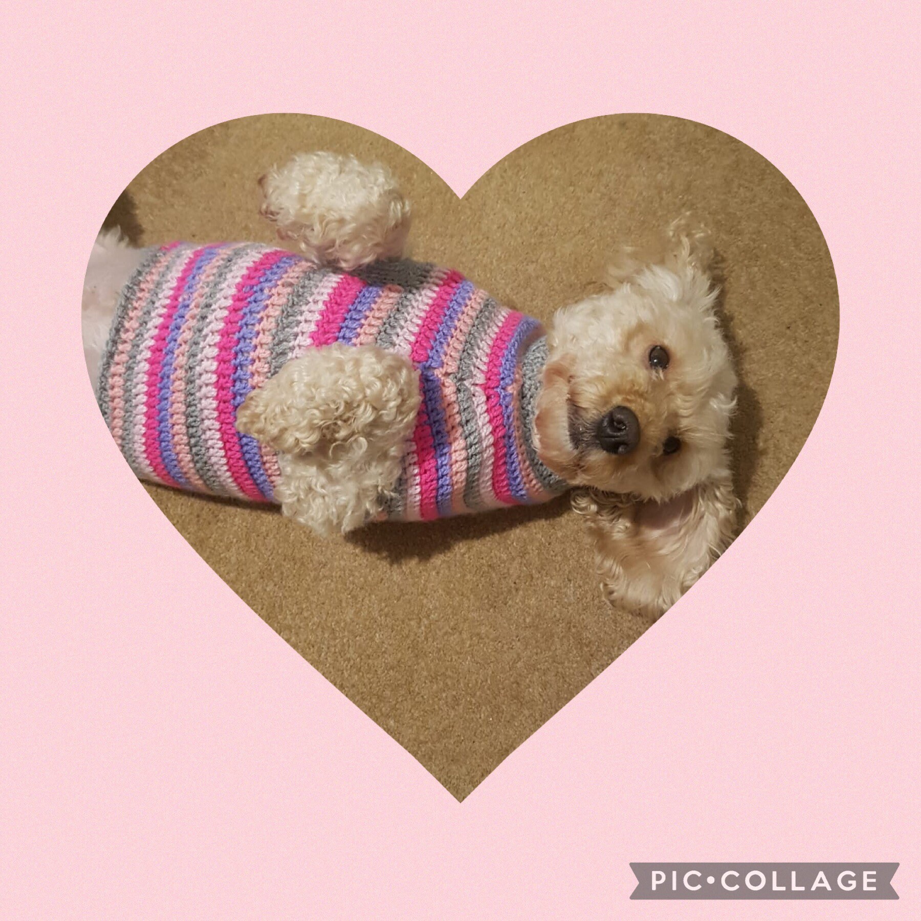 PDF Digital Download Crochet Pattern 18 Inch Dog Jumper - Etsy