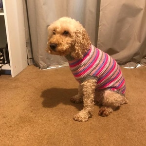PDF Digital Download Crochet Pattern 18 Inch Dog Jumper - Etsy Canada