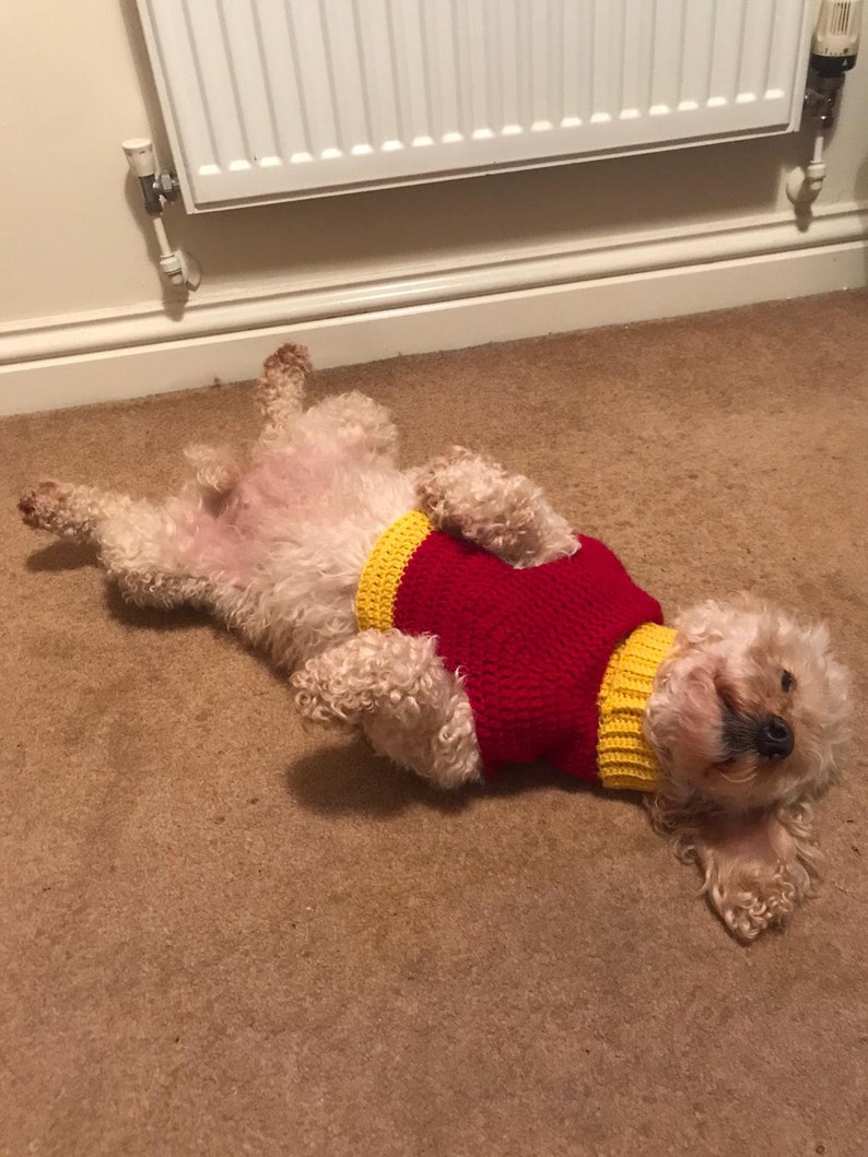 PDF Download File Crochet Pattern. Cockapoo Westie Crochet | Etsy