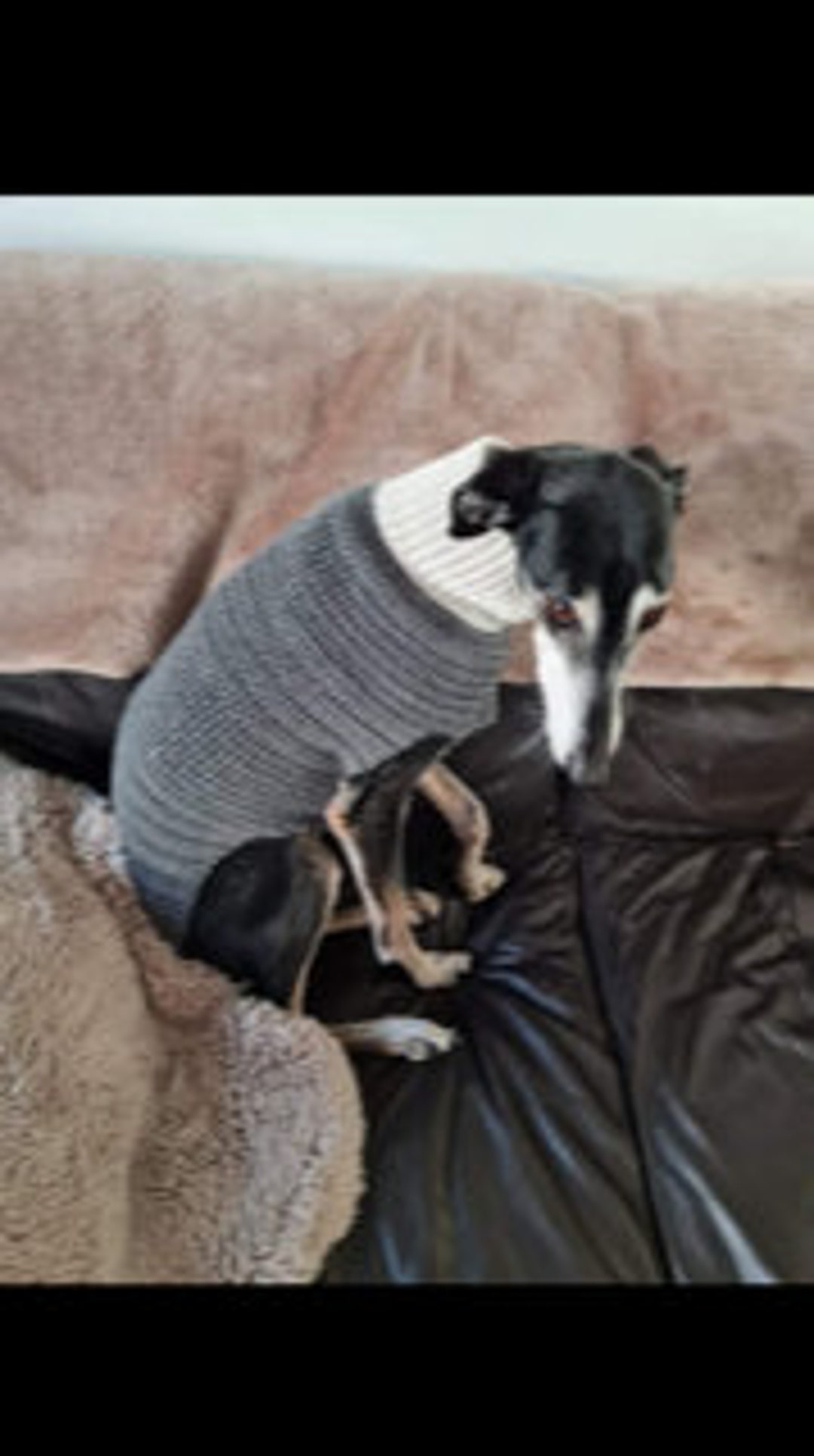 Lurcher/whippet Pdf Crochet Jumper Pattern 24 Inch - Etsy