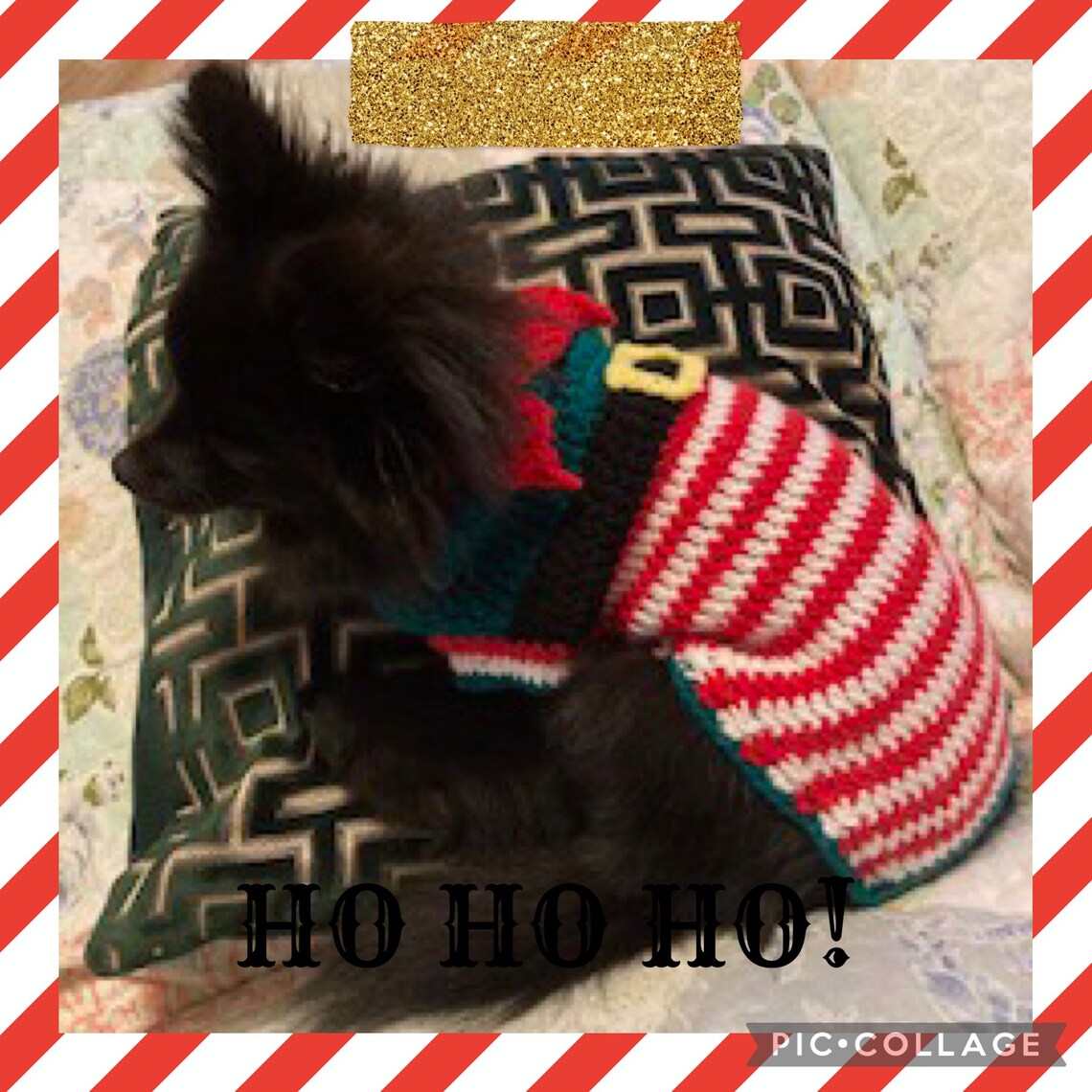 PDF Digital Download Crochet Pattern, Christmas Elf Dog Jumper Sweater ...