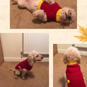 PDF Download File Crochet Pattern. Cockapoo, Westie , Crochet Dog Coat ...